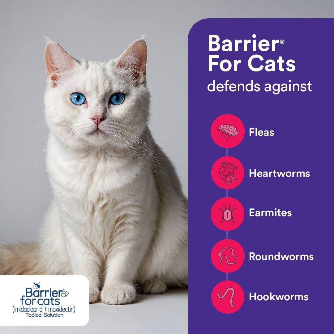 BARRIER Topical Solution for Cats, 5.1-9 lbs - Easy Refills | Chewy Rx