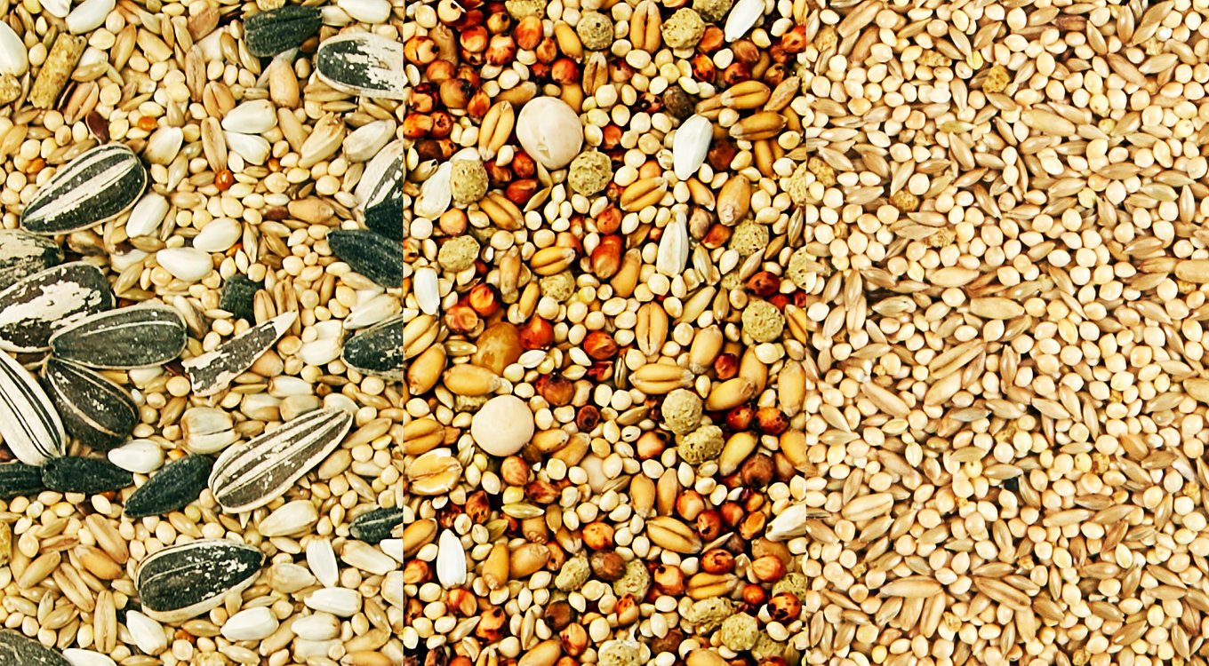 KAYTEE Supreme Parrot Food, 20-lb bag - Chewy.com