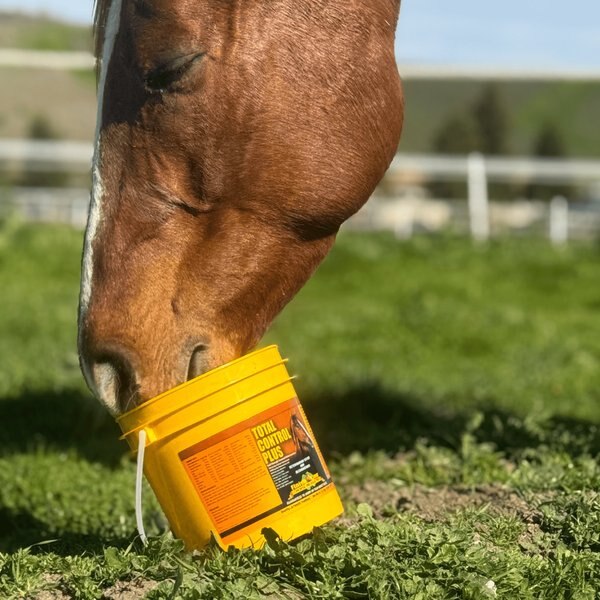 FINISH LINE Total Control Plus Horse Comprehensive Supplement, 4.7-lb ...