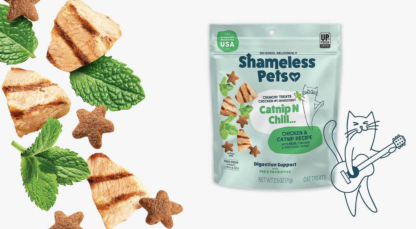 SHAMELESS PETS Catnip N Chill Chicken Crunchy Cat Treats, 2.5-oz bag ...