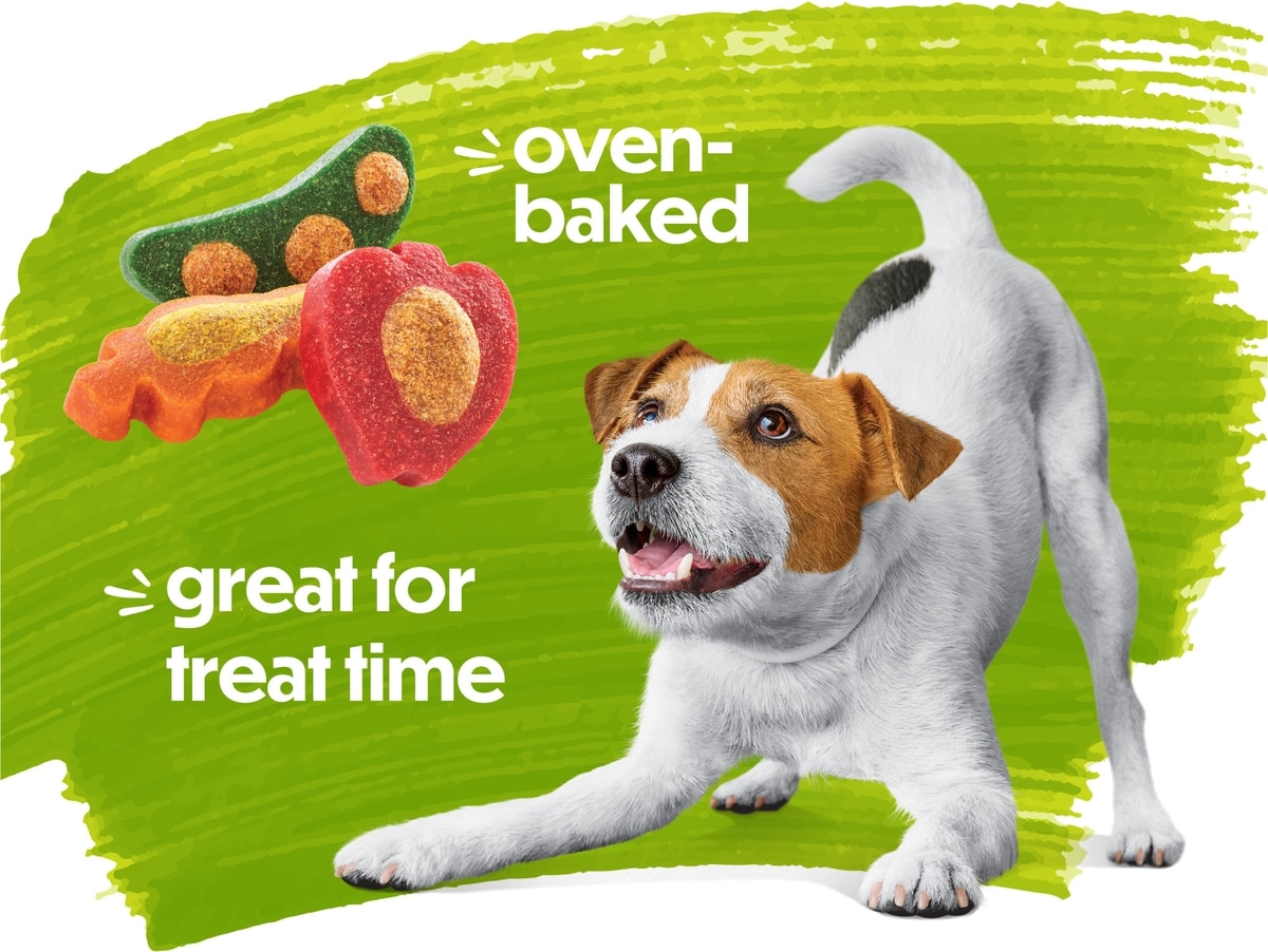PURINA BENEFUL Baked Delights Snackers with Apples, Carrots, Peas ...