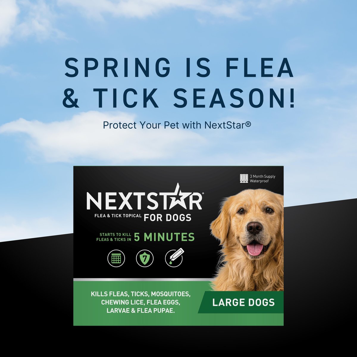 NEXTSTAR Flea & Tick Topical Treatment for Large Dogs, 45-88 lbs, 9 ...