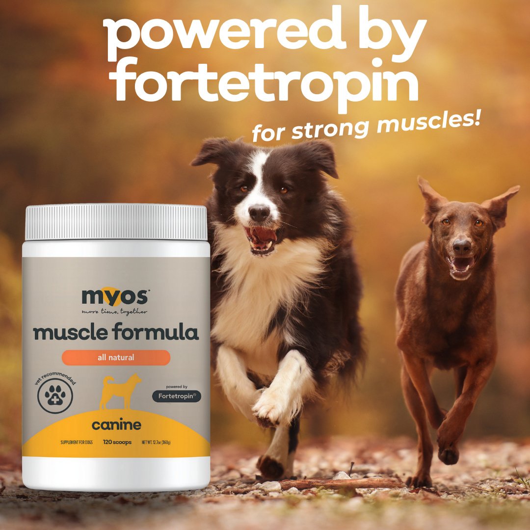 MYOS Canine Muscle Formula Dog Supplement, 12.7-oz - Chewy.com