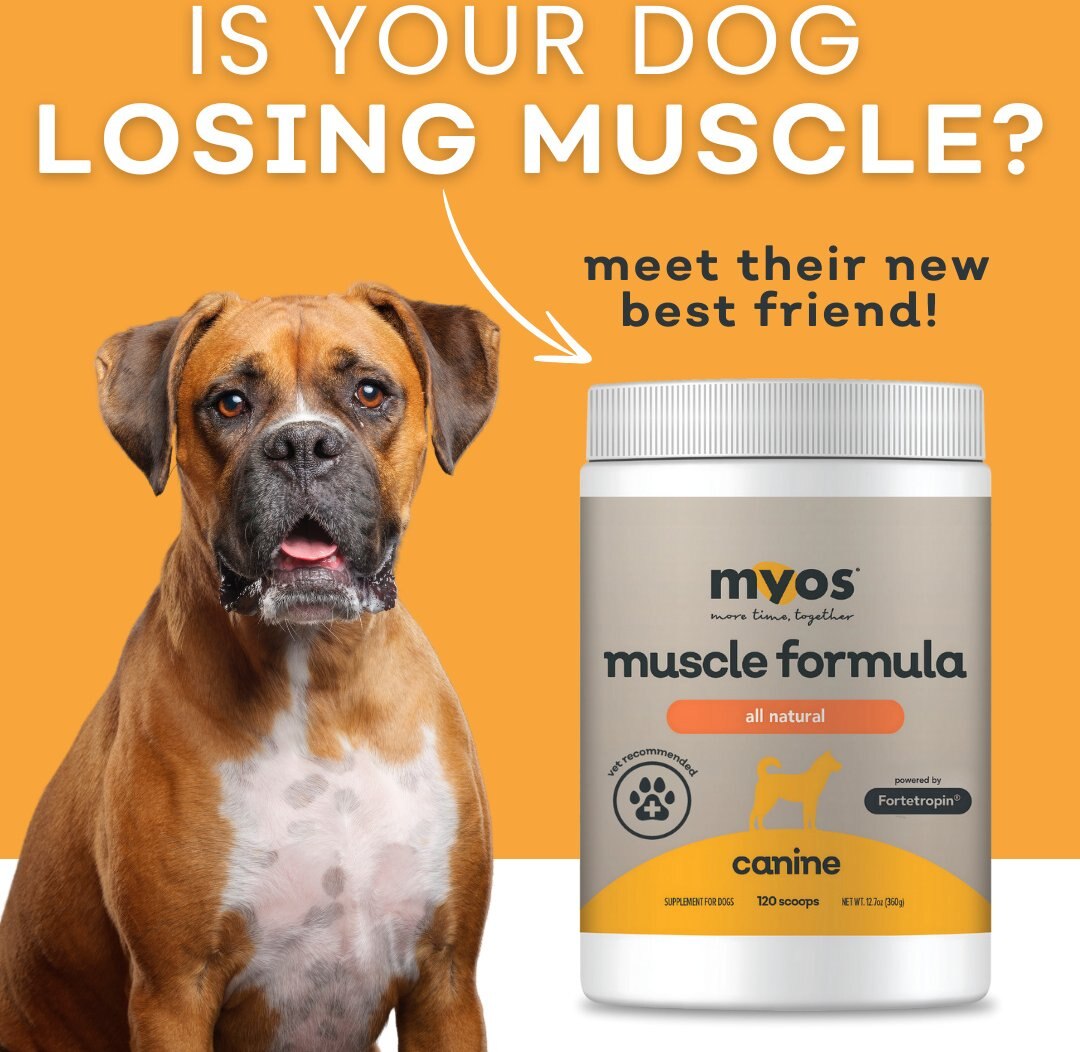 MYOS Canine Muscle Formula Dog Supplement, 12.7-oz - Chewy.com