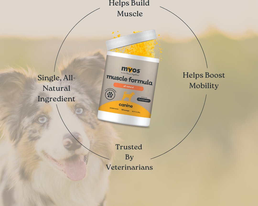 MYOS Canine Muscle Formula Dog Supplement, 12.7-oz - Chewy.com