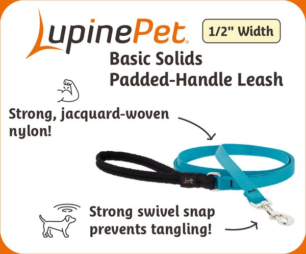LUPINEPET Basic Solid Padded Handle Dog Leash, Black, Regular: 4-ft ...