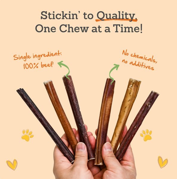 ADVANCE PET PRODUCT 6-inch Bully Stick Dog Chew, 1 count - Chewy.com