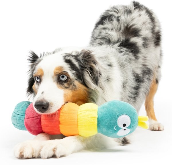 HUXLEY & KENT Fetchies Caterpillar Dog Plush Toy, Large - Chewy.com