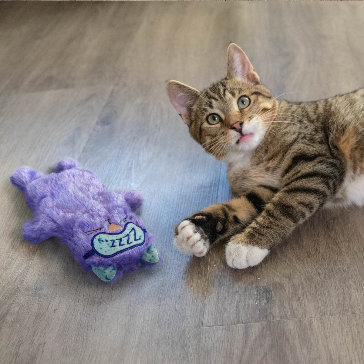 CATSTAGES Purr Pillow Cat Plush Toy - Chewy.com