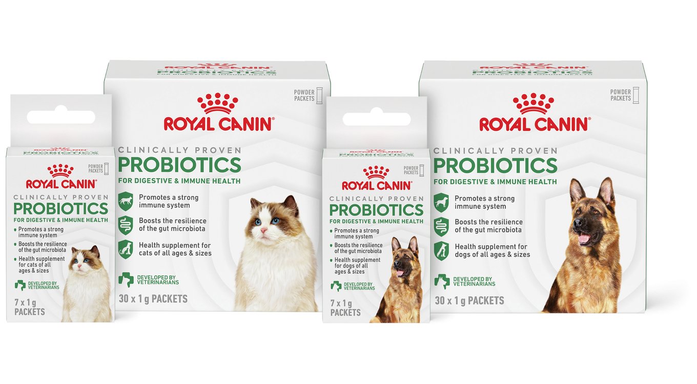 ROYAL CANIN Probiotics Digestive & Immune Health Powder Supplement for ...