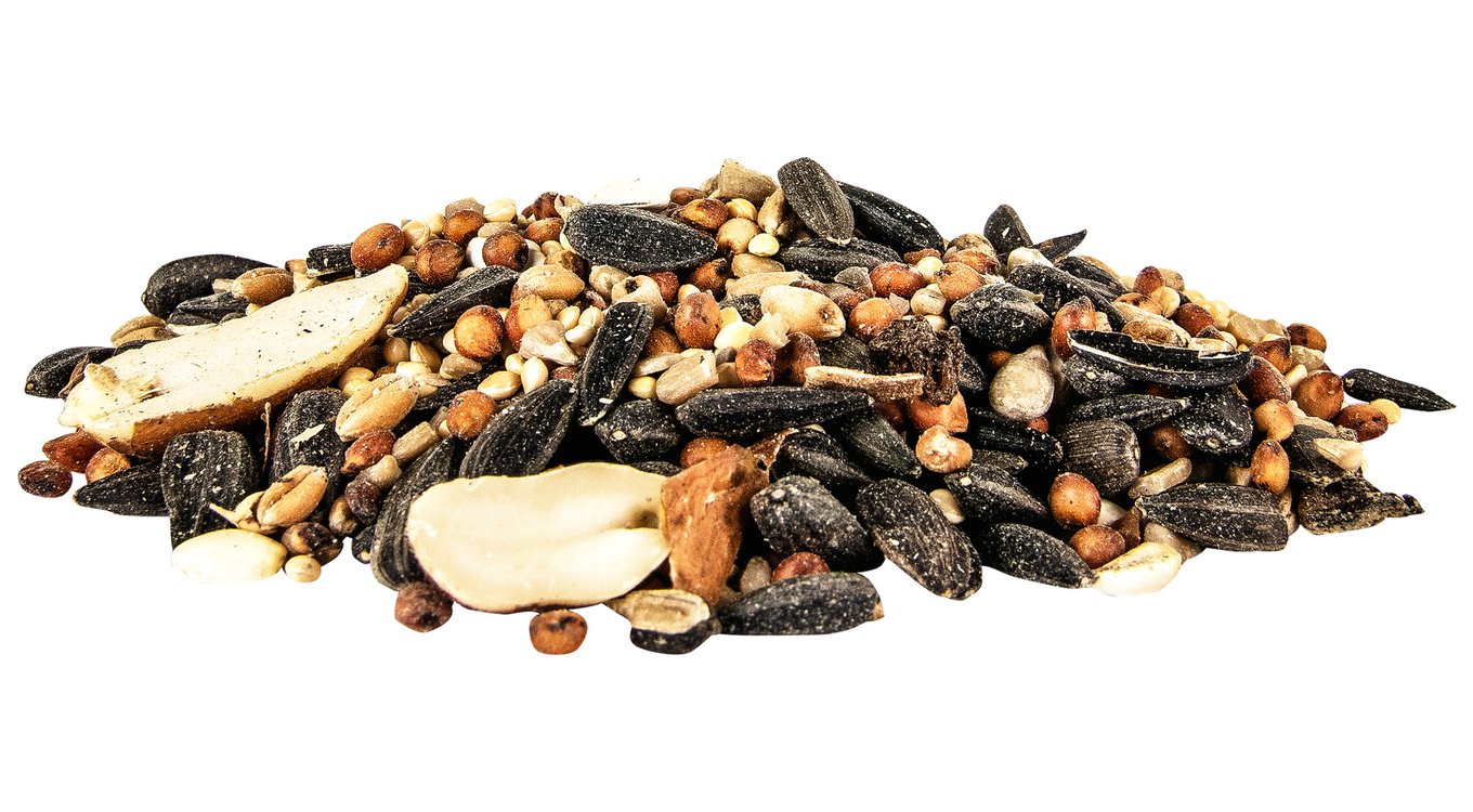 PENNINGTON Pride Squirrel & Critter Bird Food Blend, 10-lb bag - Chewy.com