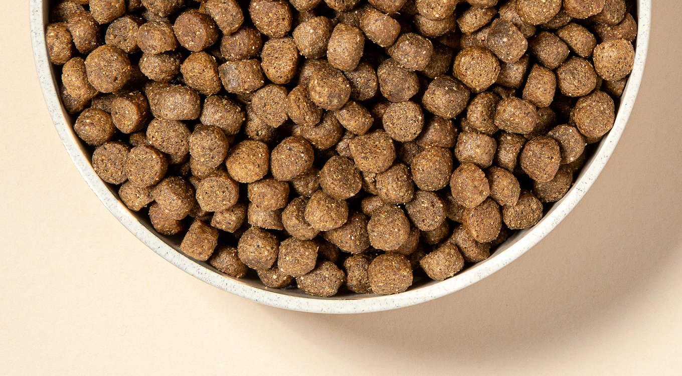 BADLANDS RANCH Superfood Complete Raw Coated Morsels Beef Dry Dog Food ...