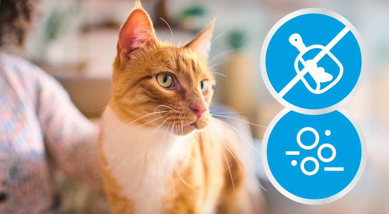 TIDY CATS Tidy Care Alert Health Monitoring Unscented Non-Clumping Cat ...