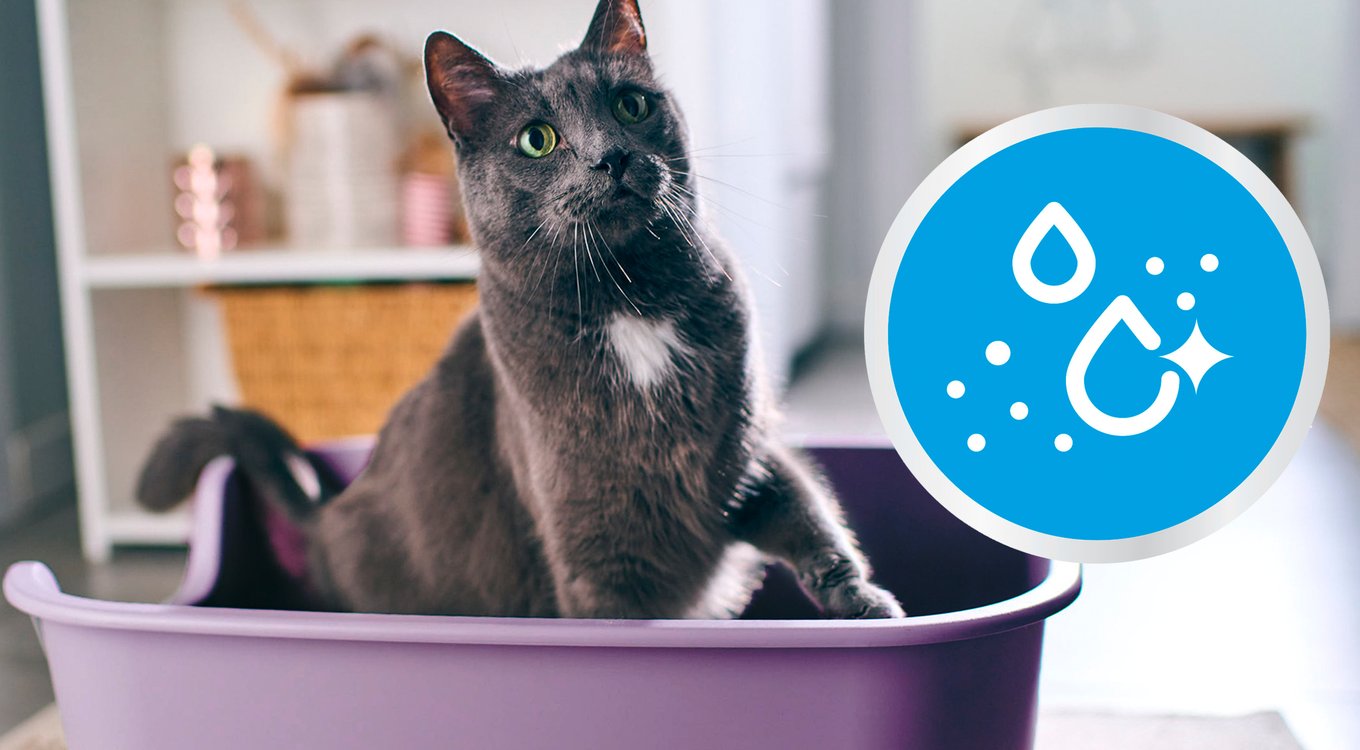 TIDY CATS Tidy Care Alert Health Monitoring Unscented Non-Clumping Cat ...