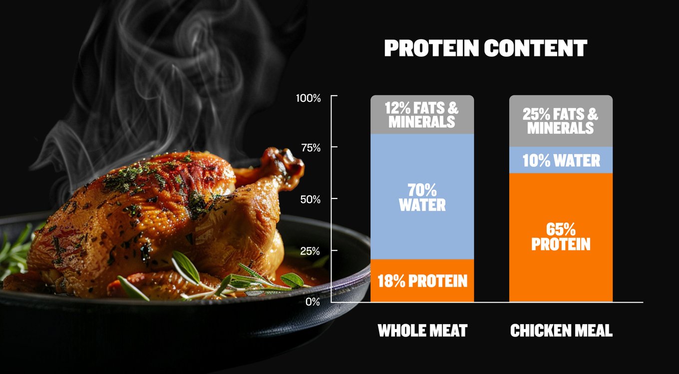 BULLY MAX 30/20 Adult High-Protein & Fat Chicken Dry Dog Food, 40-lb ...