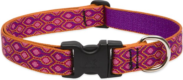 LupinePet - Free shipping | Chewy