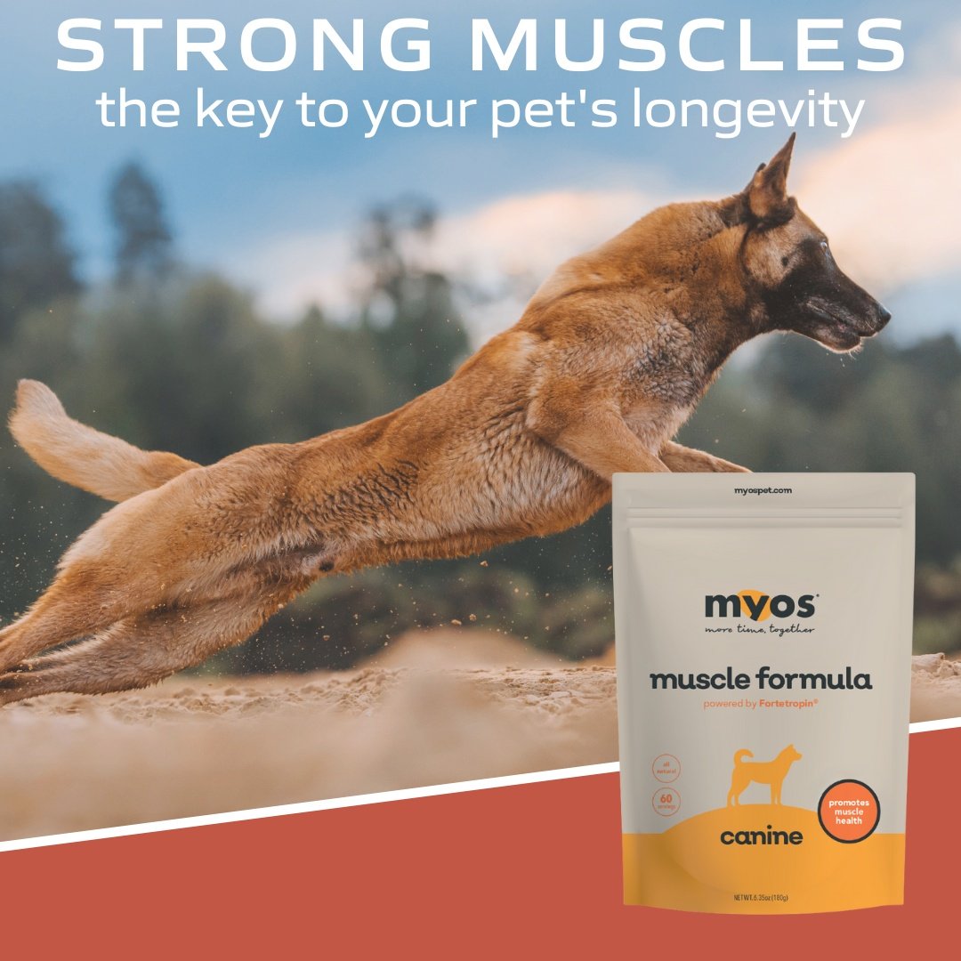 MYOS Canine Muscle Formula Dog Supplement, 6.35-oz - Chewy.com