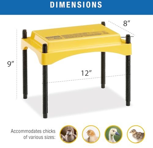 BRINSEA EcoGlow Safety Chick & Duckling Brooder, 600 - Chewy.com