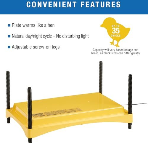 BRINSEA EcoGlow Safety Chick & Duckling Brooder, 1200 - Chewy.com