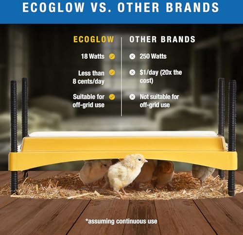BRINSEA EcoGlow Safety Chick & Duckling Brooder, 1200 - Chewy.com