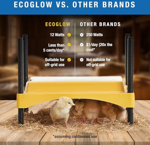 BRINSEA EcoGlow Safety Chick & Duckling Brooder, 600 - Chewy.com