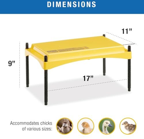BRINSEA EcoGlow Safety Chick & Duckling Brooder, 1200 - Chewy.com