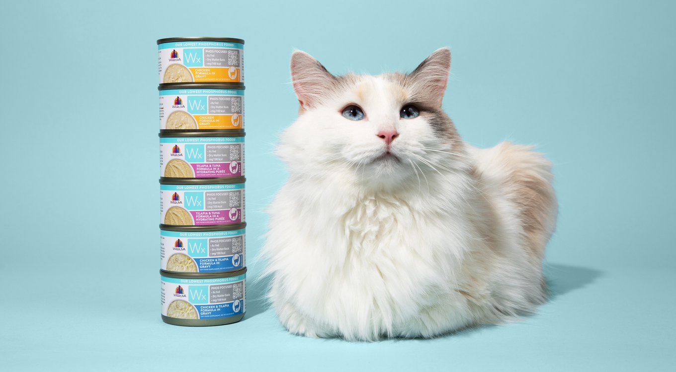 WERUVA Wx Phos Focused Chicken Formula Grain-Free Puree Wet Cat Food, 5 ...