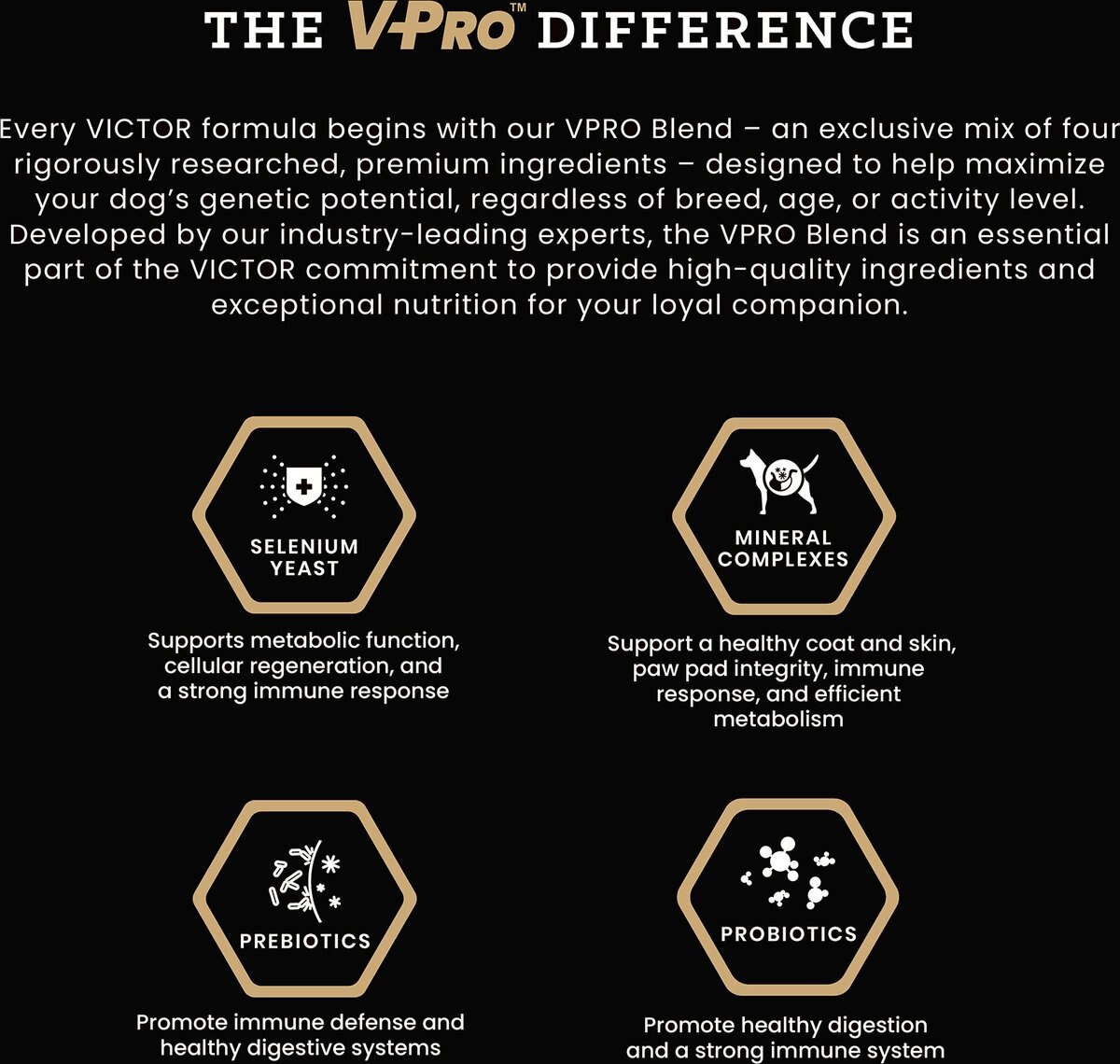 VICTOR Sensitive Skin & Stomach Beef Meal & Brown Rice Recipe Dry Dog ...