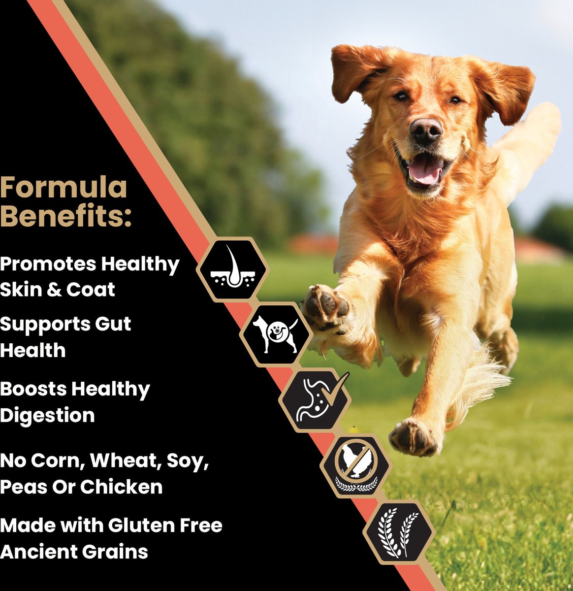 VICTOR Sensitive Skin & Stomach Salmon Meal & Brown Rice Recipe Dry Dog ...