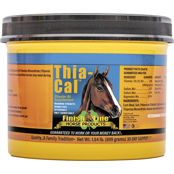 FINISH LINE Orange-A-Day Electrolyte Powder Orange Flavor Horse ...