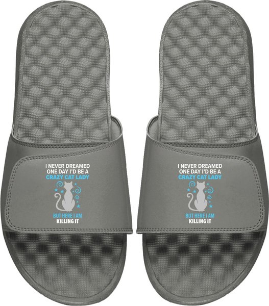 ISLIDE Crazy Cat Lady Slides, Grey, W6 / M5 - Chewy.com