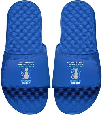 ISLIDE Crazy Cat Lady Slides, Royal Blue, W8 / M7 - Chewy.com