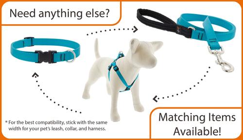 LUPINEPET Basic Solid Nylon Dog Collar, Red, Small: 9 to 14-in neck, 3/ ...