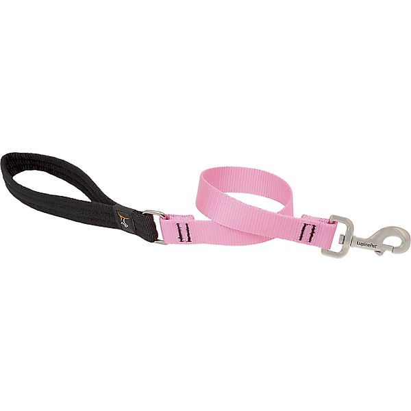 LOOPS 2 Double Handle Dog Leash, Red - Chewy.com