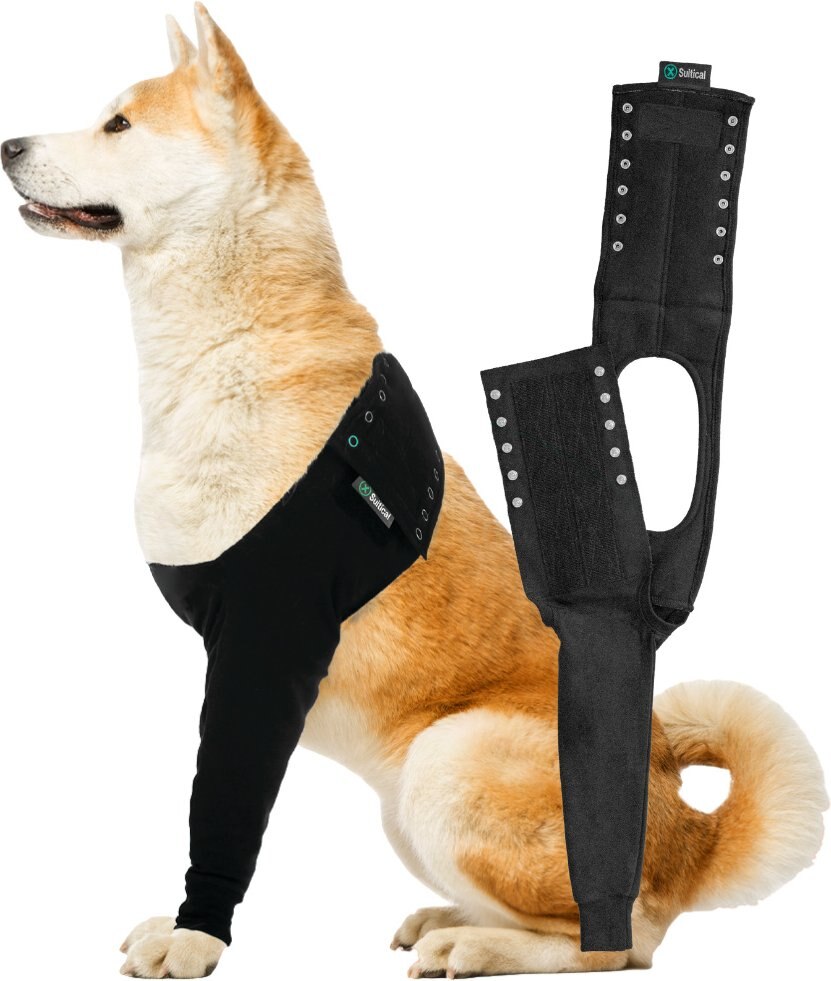 SUITICAL Recovery Sleeve for Dogs, Black, Large - Chewy.com