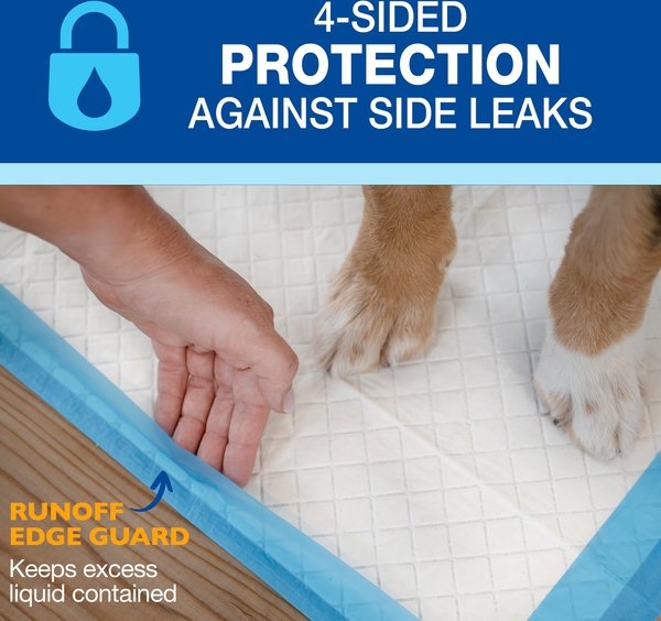 WEE-WEE Pads Superior Performance with Runoff Edge Guard Dog Pee Pads ...