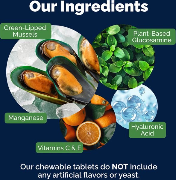 VETNIQUE LABS YuMOVE Mobility Hip & Joint Care Chewable Tablet ...