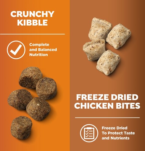 NATURE'S RECIPE Freeze-Dried Chicken, Barley & Brown Rice Dog Food, 10. ...