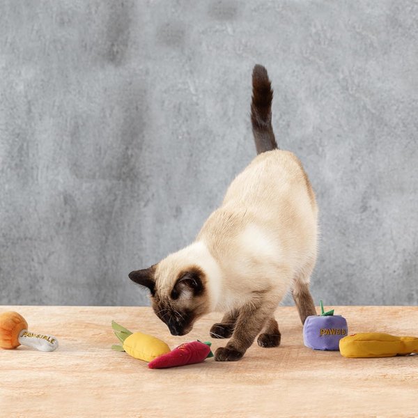 NOCCIOLA 5 Pack Foodie Catnip Filling Cat Toy Set, Multi - Chewy.com