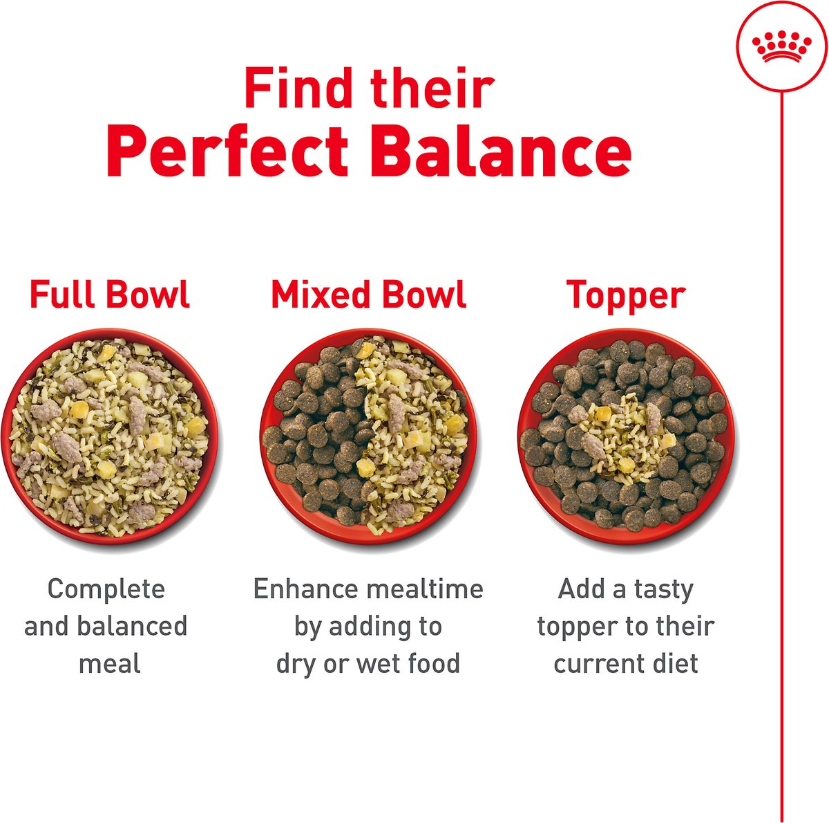 ROYAL CANIN Fresh Health Nutrition Adult Dog Food, 8.8-oz pouch, pack ...