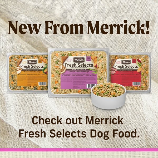 MERRICK Fresh Selects Frozen Turkey & Brown Rice Dog Food, 18-oz pouch ...