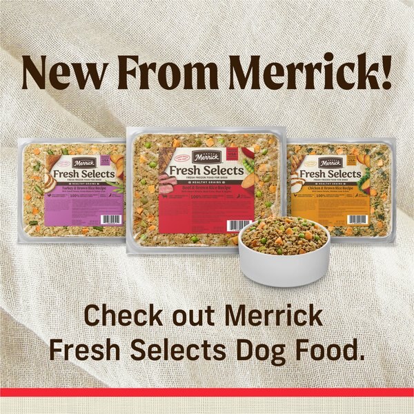 MERRICK Fresh Selects Frozen Beef & Brown Rice Dog Food, 18-oz pouch ...