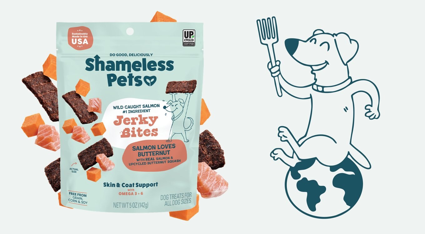 SHAMELESS PETS Salmon Jerky Dog Treats, 5-oz bag - Chewy.com
