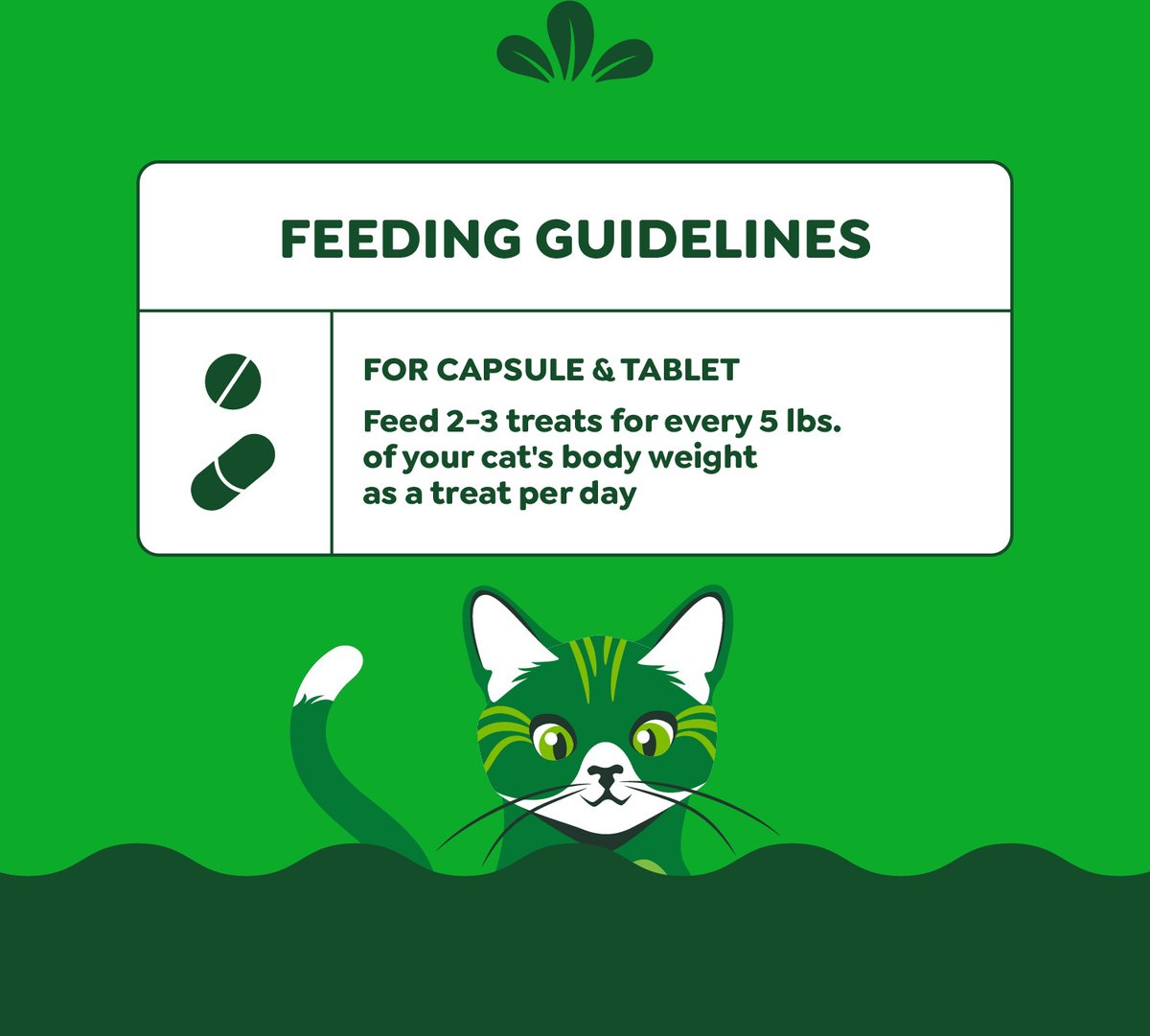 GREENIES Pill Pockets Feline Natural Salmon Flavor Soft Adult Cat ...