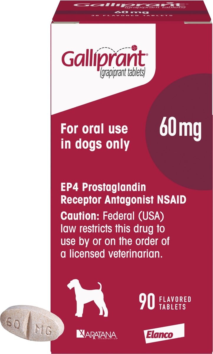 GALLIPRANT (grapiprant) Tablets for Dogs, 60-mg - Easy Refills | Chewy Rx