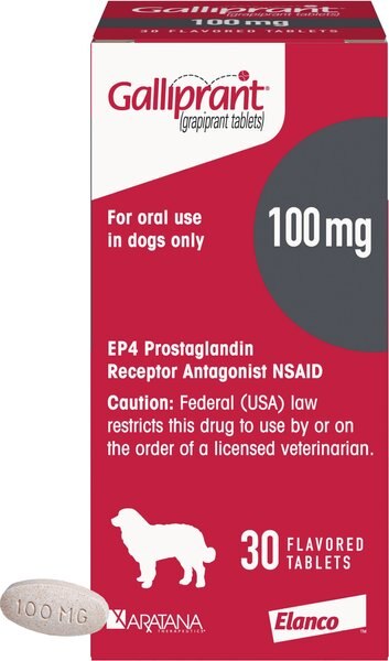 GALLIPRANT (grapiprant) Tablets for Dogs, 100-mg - Easy Refills | Chewy Rx