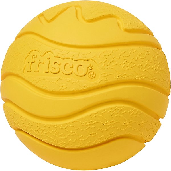 FRISCO Fetch Floating Rubber Ball Dog Toy, Large - Chewy.com