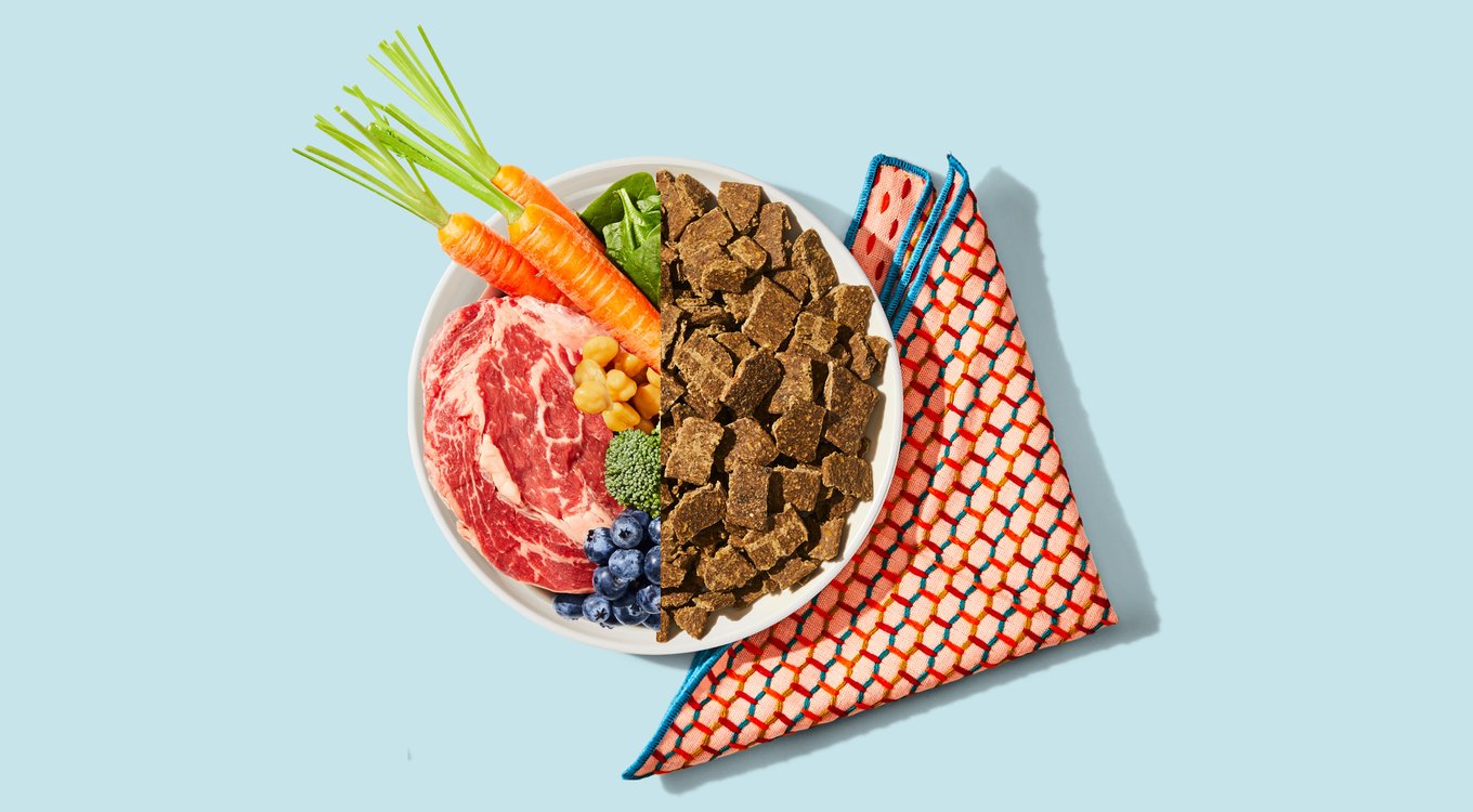 THE PETS TABLE Beef & Berries Grain-Free Air-Dried Dog Food, 48-oz bag ...