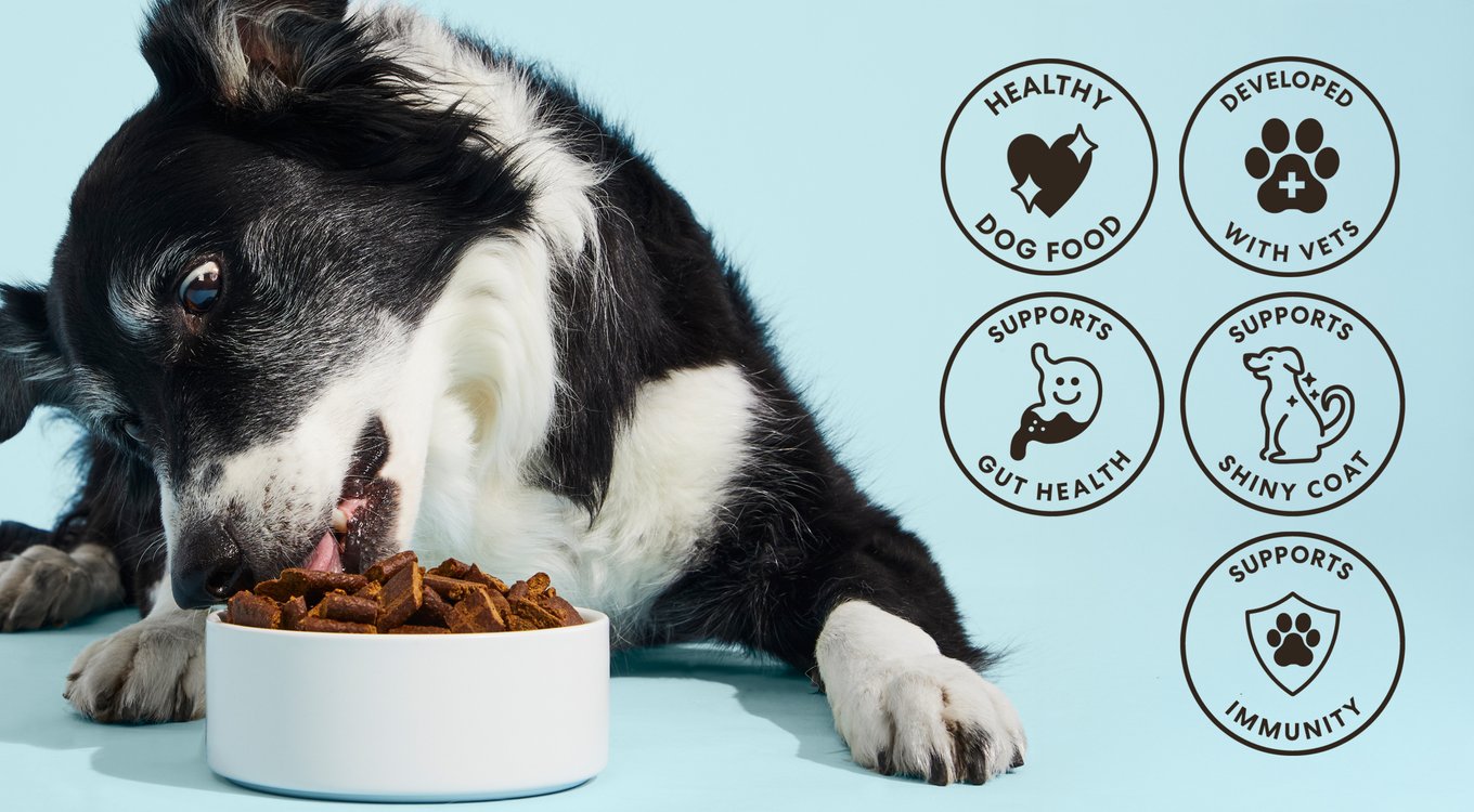 THE PETS TABLE Beef & Berries Grain-Free Air-Dried Dog Food, 48-oz bag ...