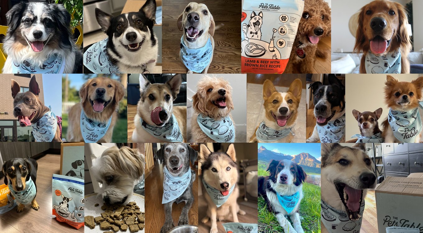 THE PETS TABLE Beef Limited Ingredient Diet Air-Dried Dog Treats, 5-oz ...